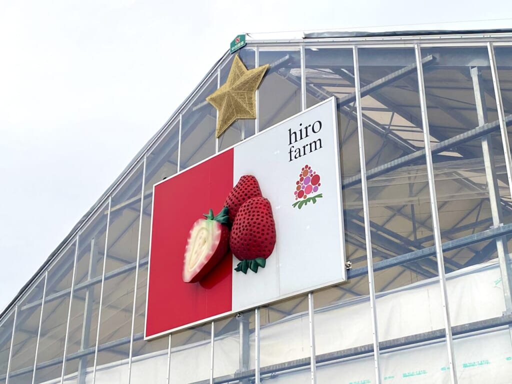 【春日部市】「第2回 全国いちご選手権」が開催され、2年連続で埼玉県「あまりん」が最高金賞を獲得しました！ 販売状況は？！ 号外net 春日部市 